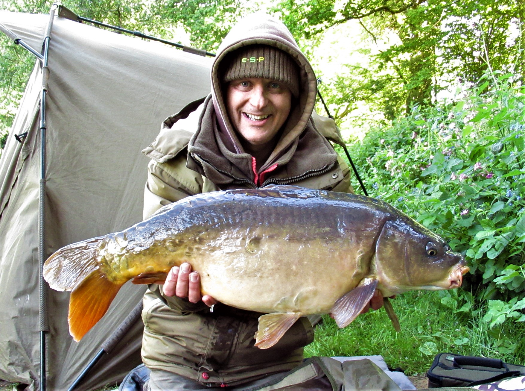 Early morning Scaley Mirror | Total Carp